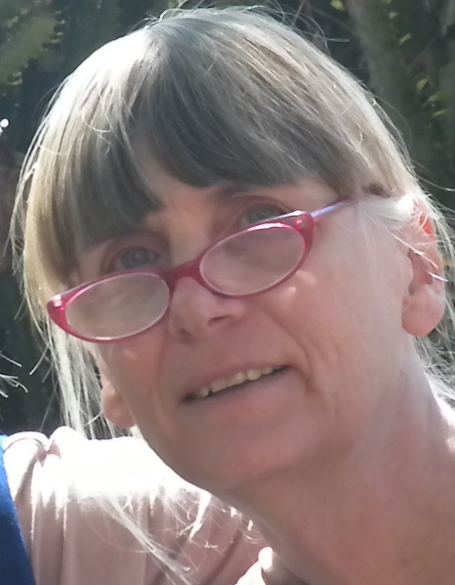 Julia B. Hebner – Disability March